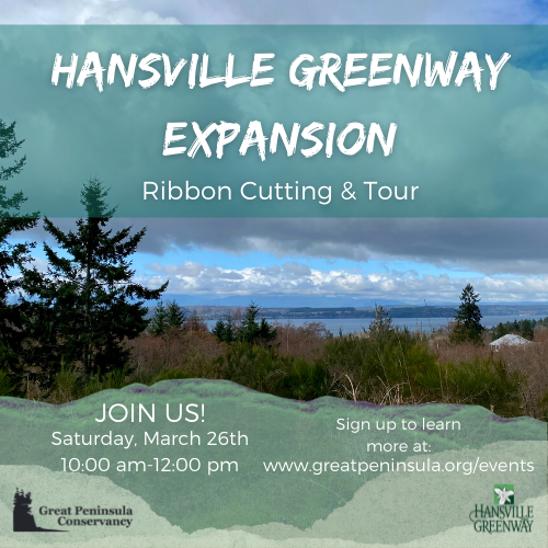 Ribbon cutting held to mark the completion of the El Portal ...